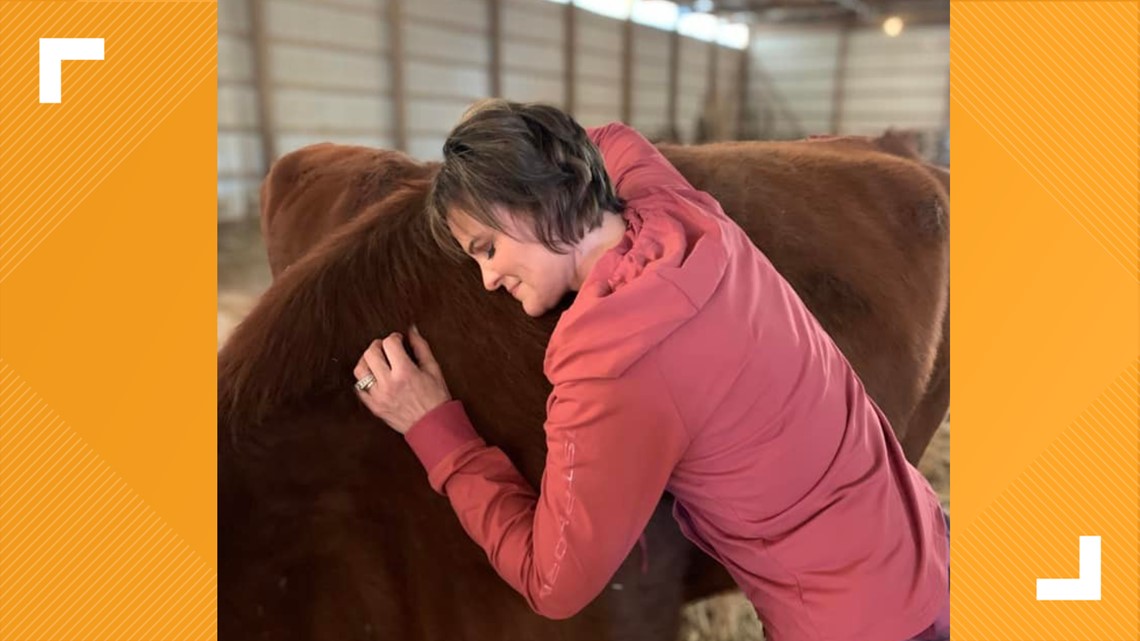Dittmer sanctuary offers cow hug therapy with 'The St. Louis Six ...
