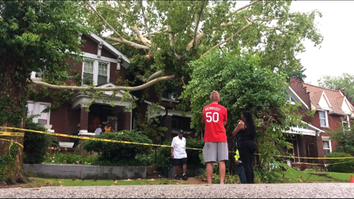 Neighbors complained of dangerous trees for years, then one fell on ...