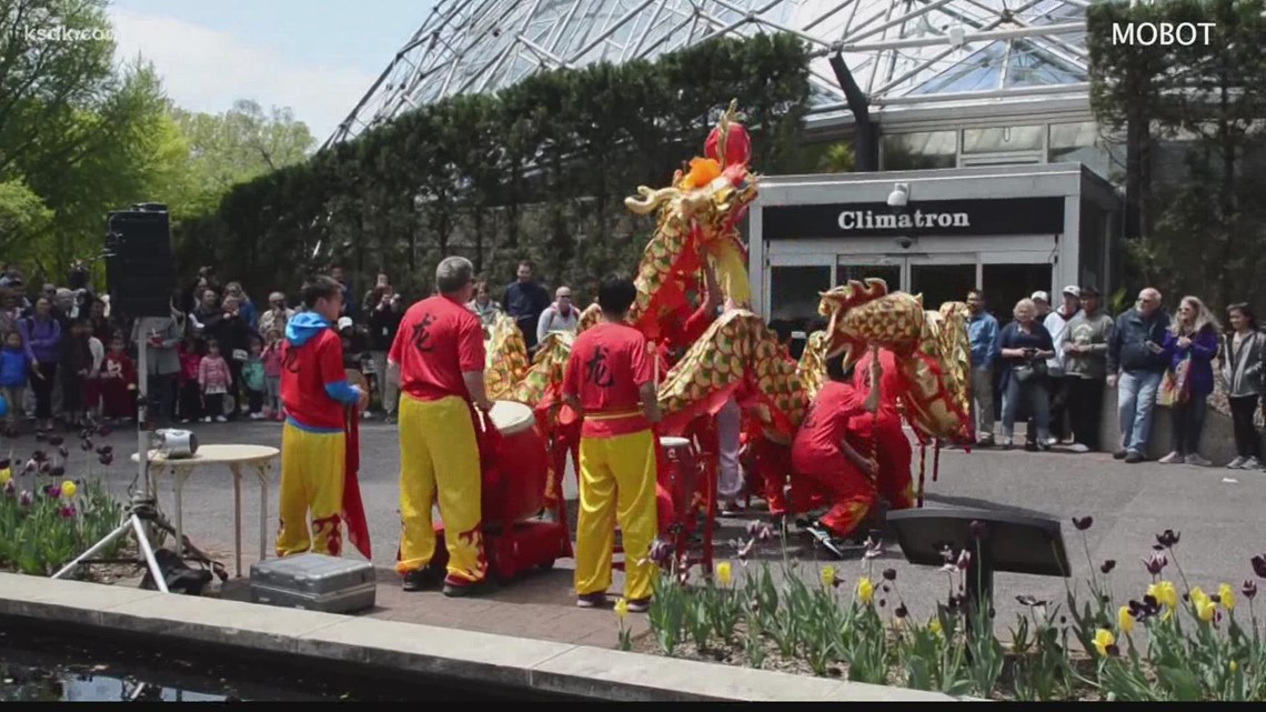 Chinese Culture Days: This weekend at Missouri Botanical Garden | ksdk.com