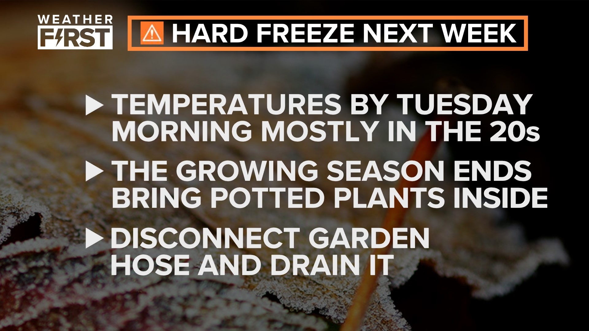 First freeze arrives in St. Louis to begin November | ksdk.com