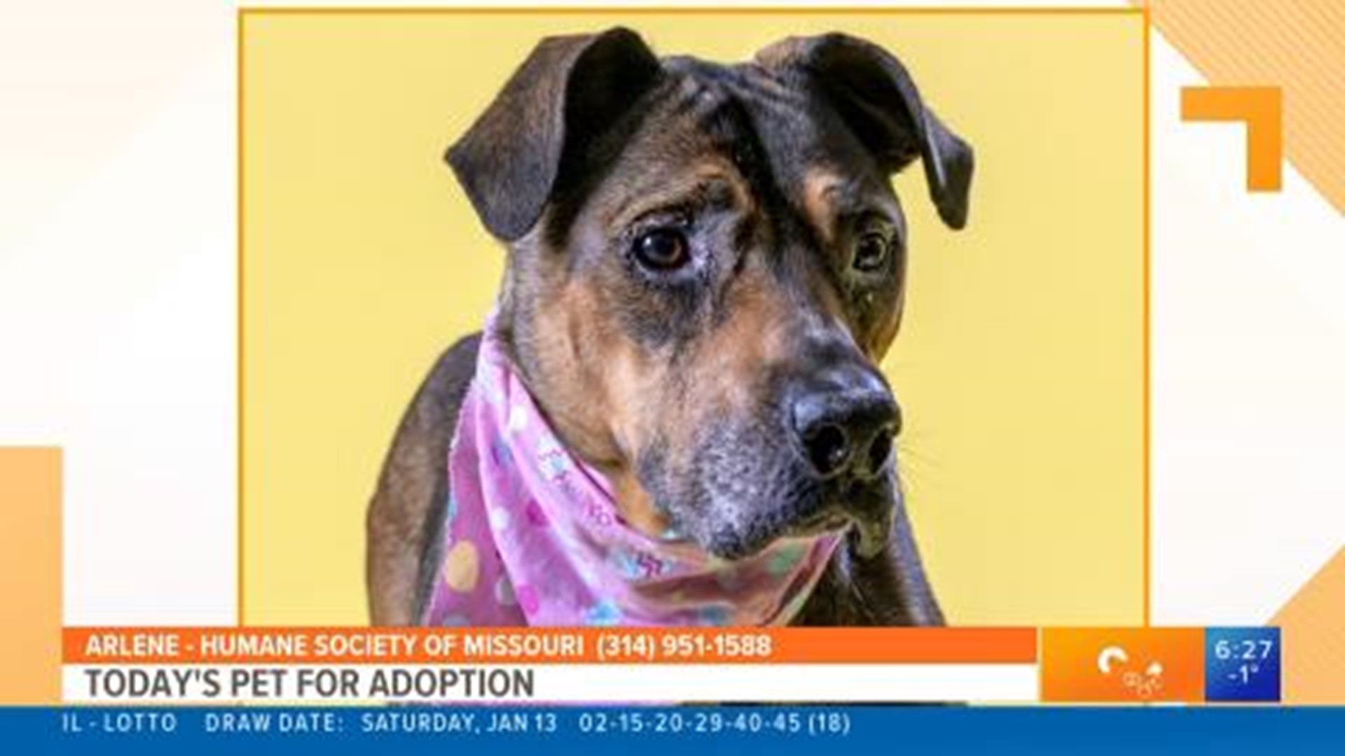 Sammy's Stars: Jan. 15, 2024 | ksdk.com