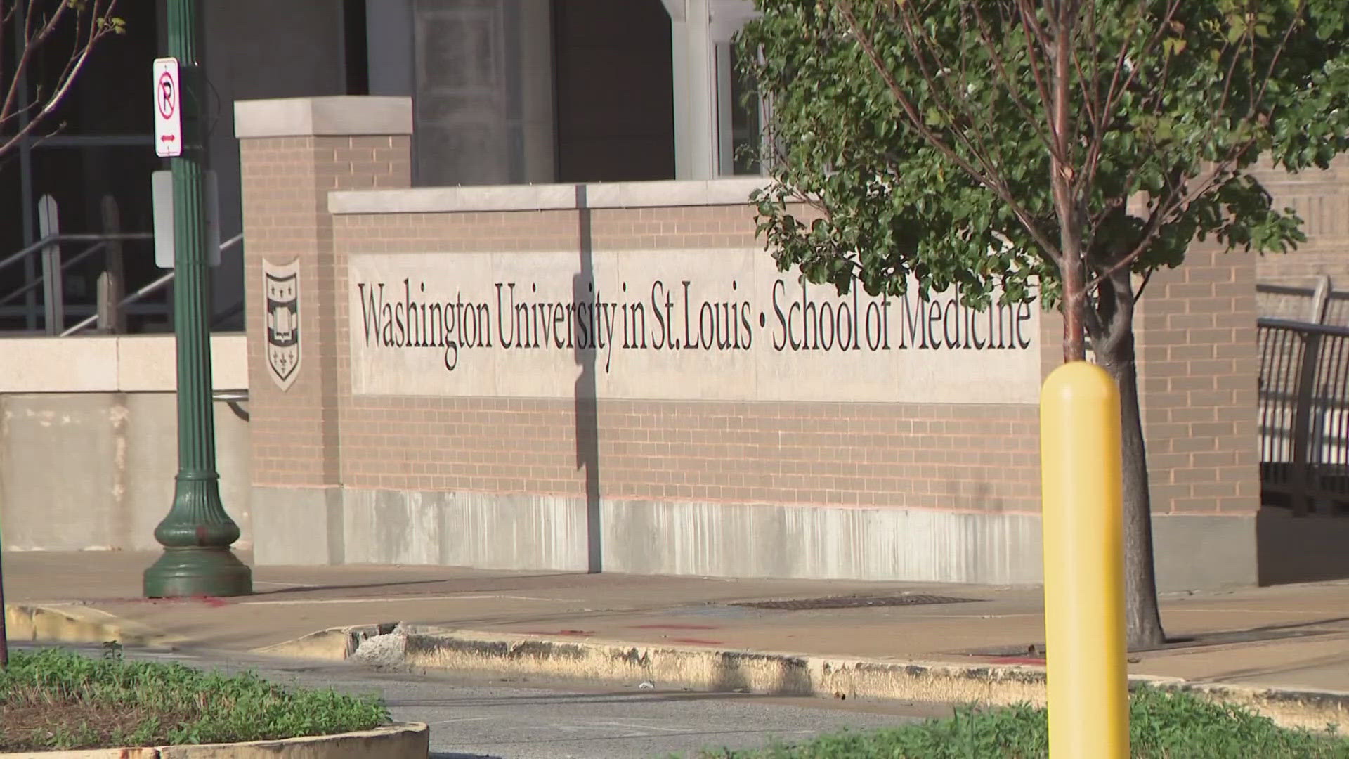 St. Louis alderman warns hundreds of WashU job cuts could ripple far ...