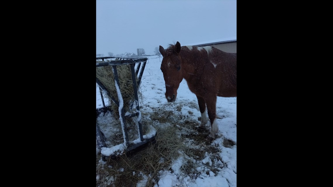 St. Louis weather forecast: Heavy snow fell Wednesday | ksdk.com