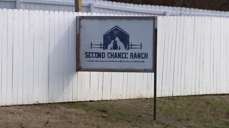 Second Chance Ranch is a sanctuary of hope for senior pets | ksdk.com