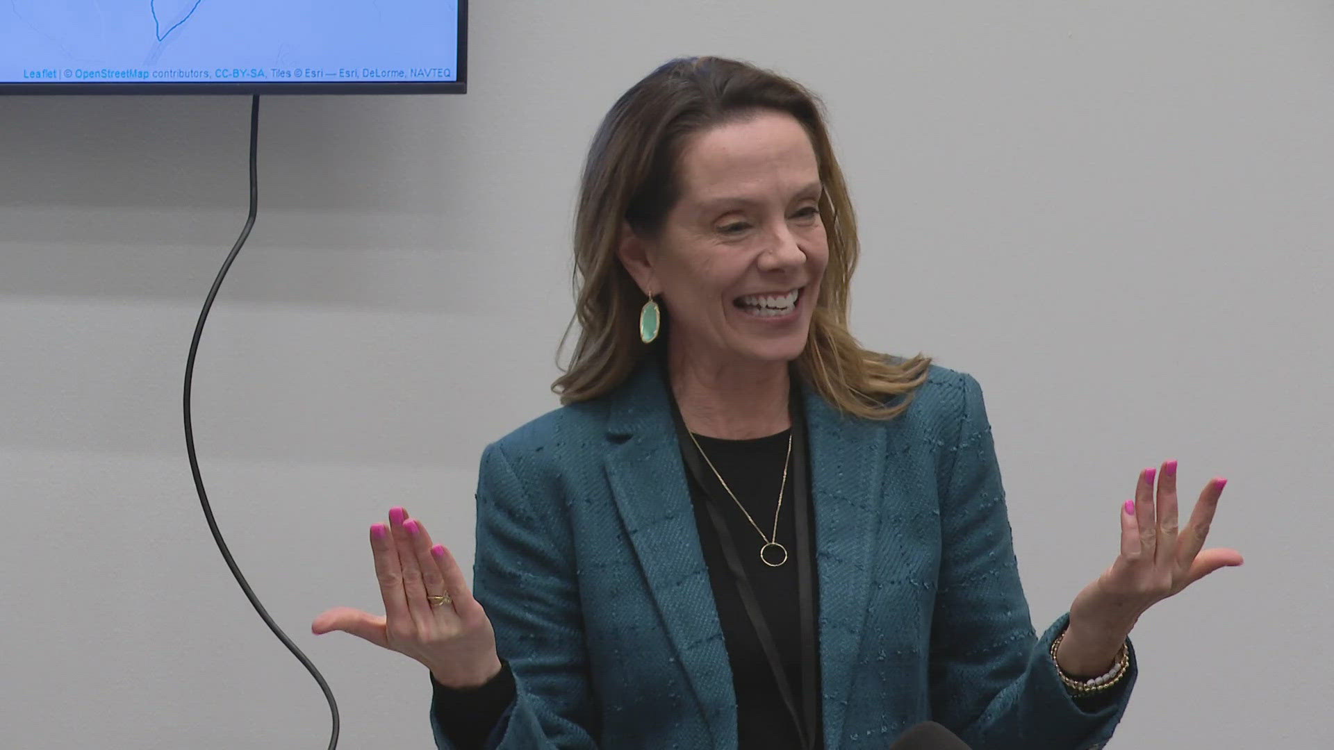 New St. Louis County prosecutor vows to be tough on crime at town hall ...