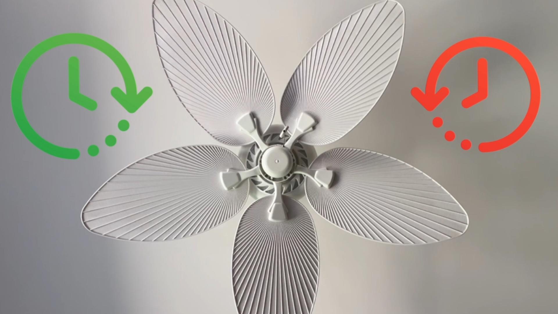Which way to switch your ceiling fan in the summer | ksdk.com