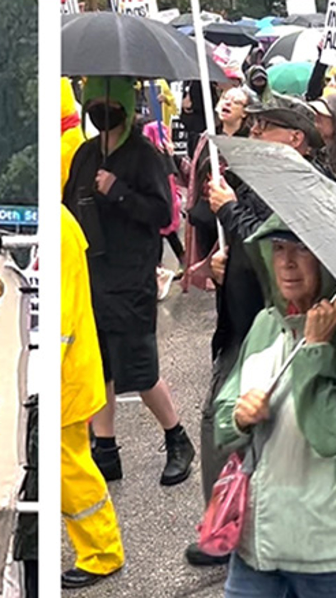 St. Louis Protestors March Against Trump and ICE | ksdk.com