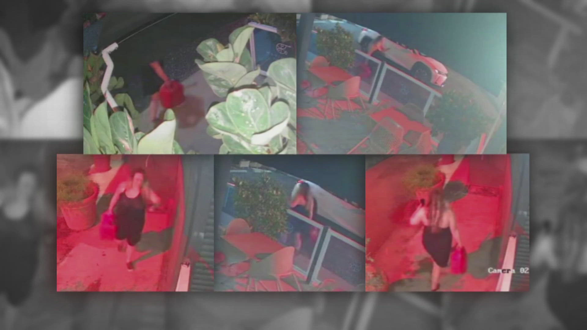 Federal judge orders Missouri woman held in Puerto Rico for alleged ...