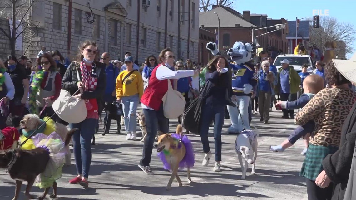 5 On Your Side's Rene Knott is grand marshal for Purina Pet Parade ...