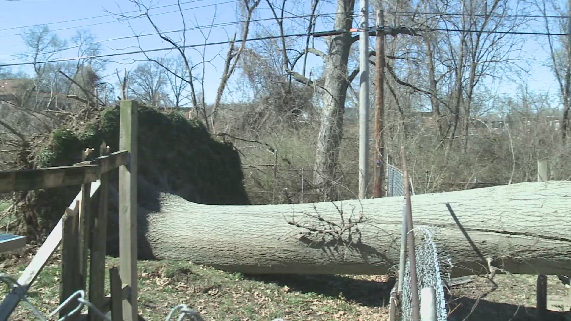Family thankful to be alive after tree crashes through Florissant home ...
