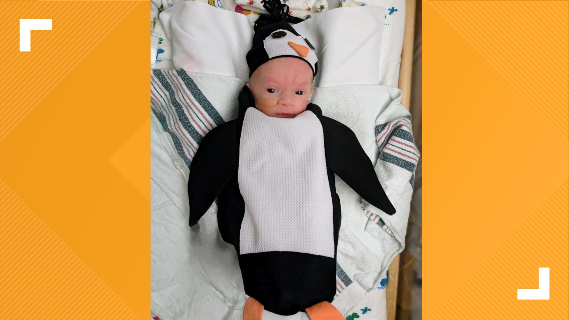 Mercy NICU babies are dressed up for Halloween | ksdk.com