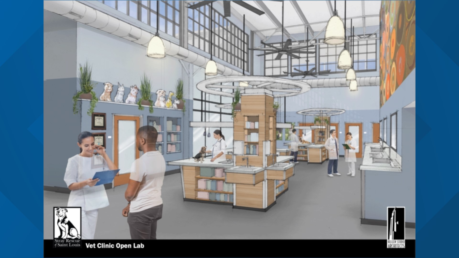 Stray Rescue of St. Louis receives $1M gift toward new facility | ksdk.com