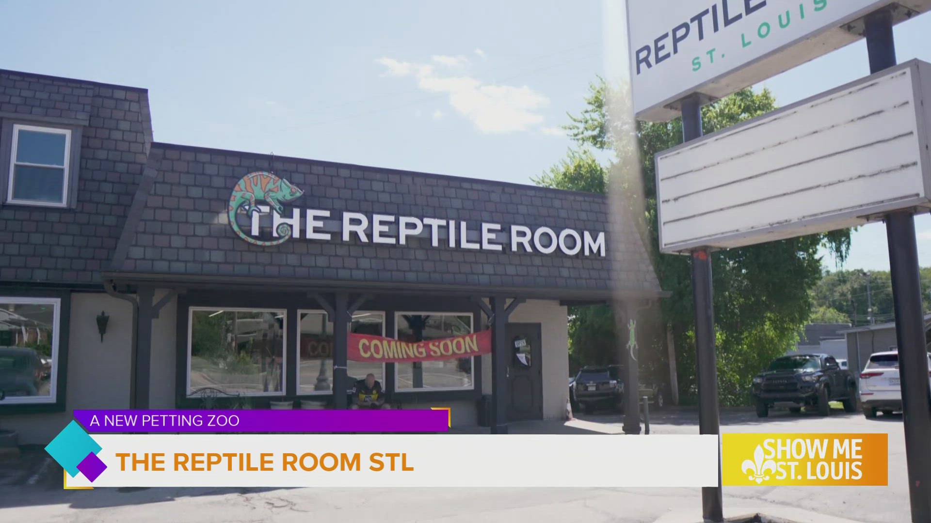 The Reptile Room STL opens as Manchester's new hands-on reptile zoo ...