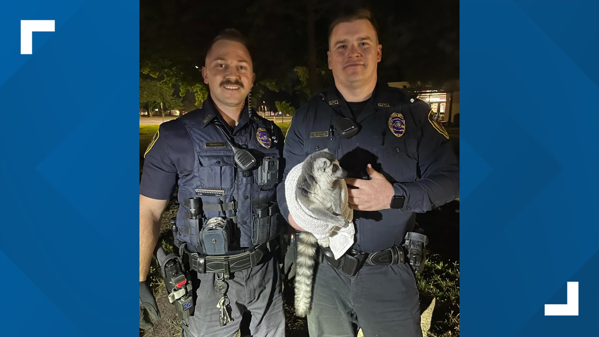 Springfield, Missouri police catch loose lemur | ksdk.com