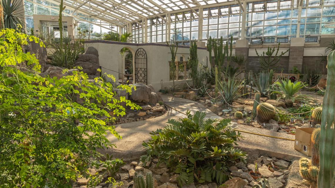 MoBOT opening new house for expansive desert plant collection | ksdk.com