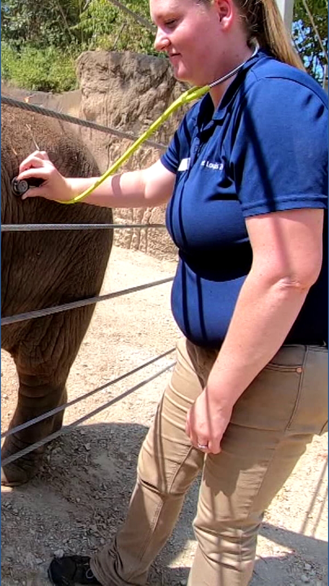 Jet the baby elephant turns 10 months: here's how he's growing up ...
