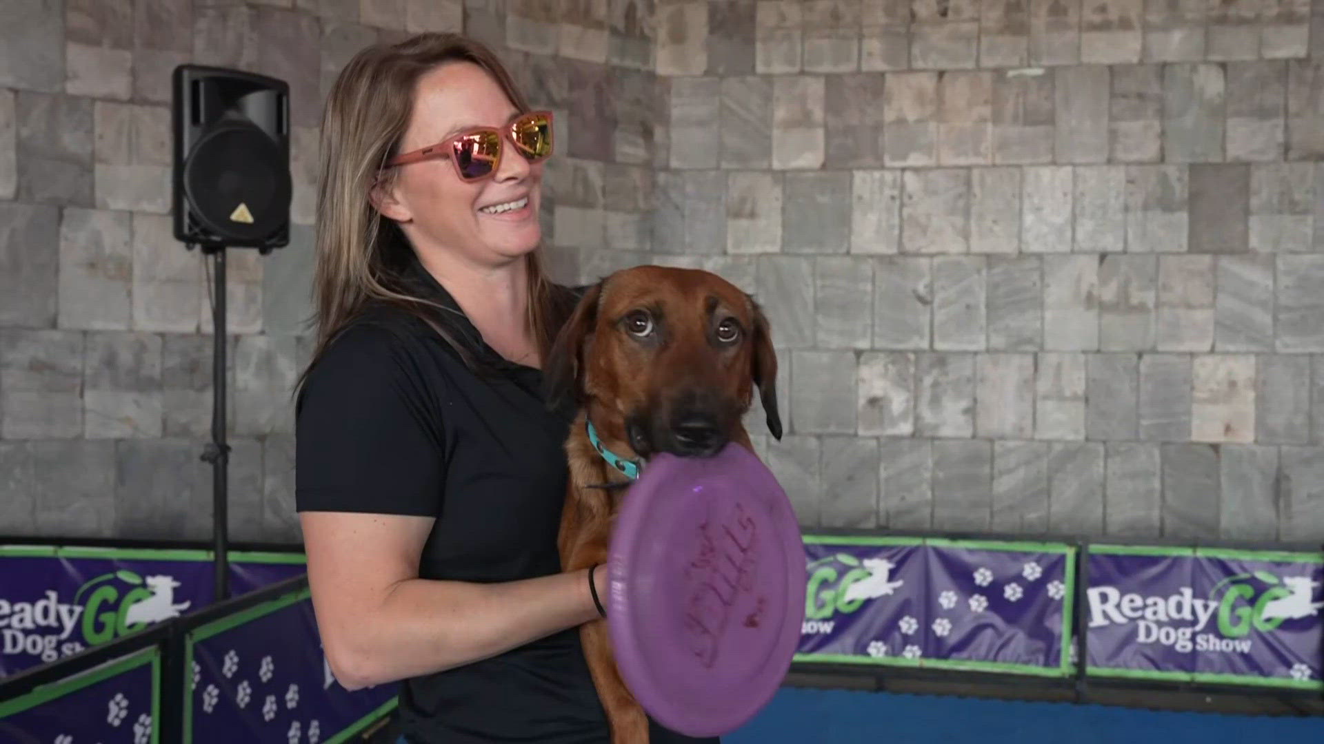 Ready, Go, Dog Show Returns to City Museum Rooftop This Summer | ksdk.com