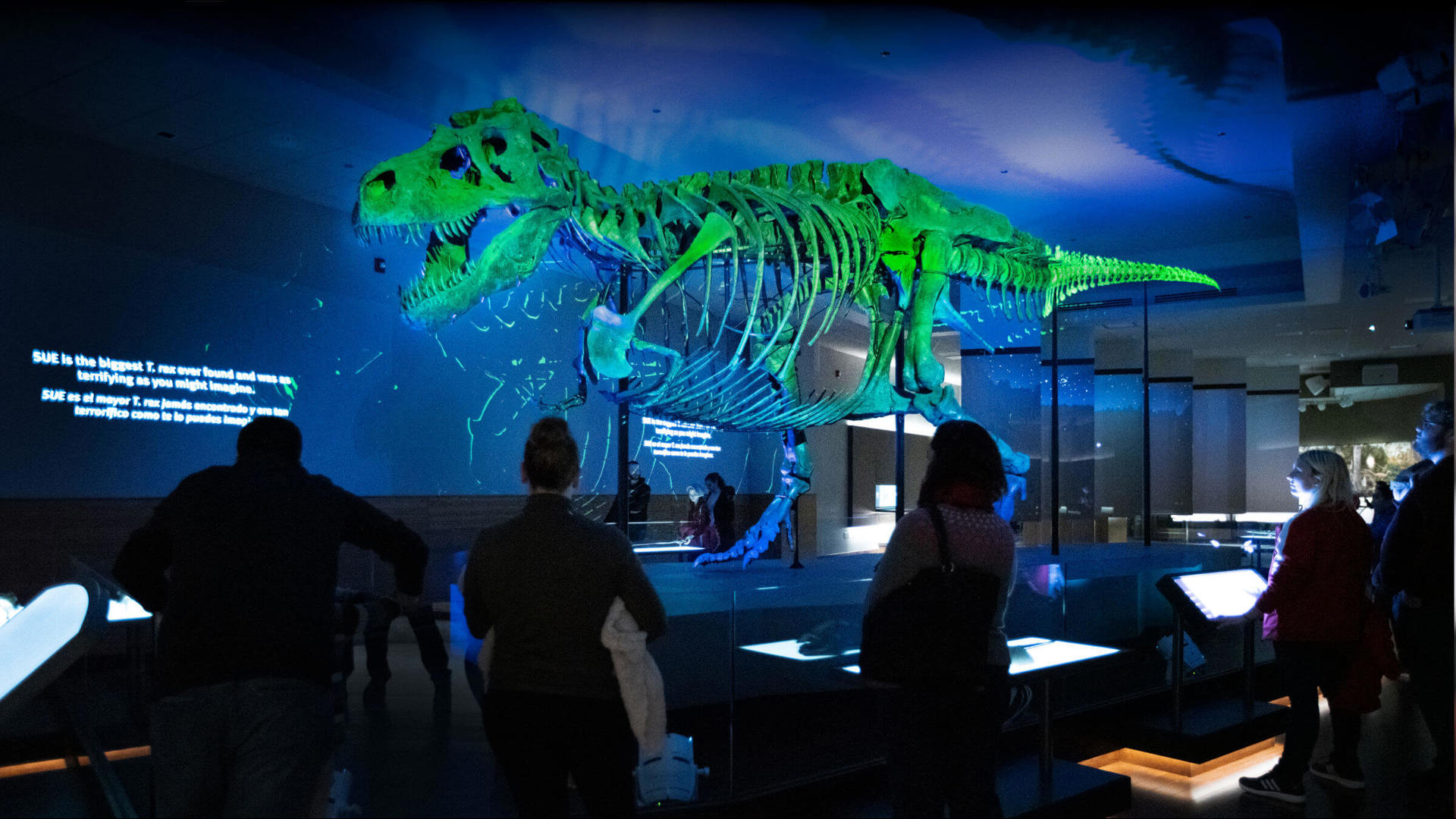 'SUE: The T. rex Experience' at Saint Louis Science Center | ksdk.com