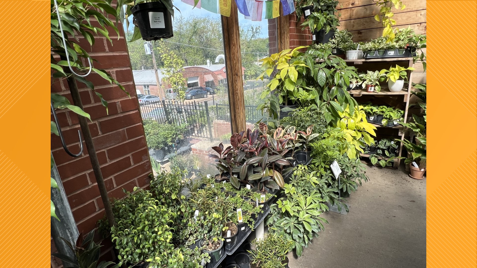 A guide to spring and summer planting in the St. Louis region | ksdk.com