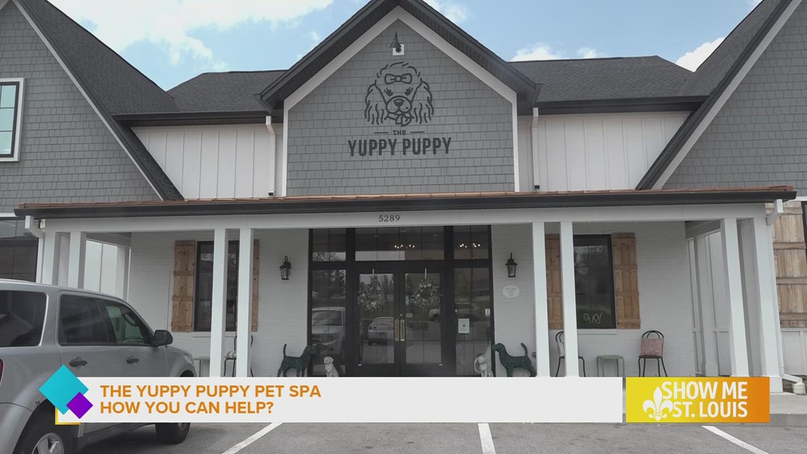 The Yuppy Puppy Pet Spa continues their mission of helping our furry ...