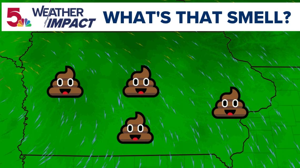 What's the smell? Cow manure plagues Missouri, Illinois Wednesday ...