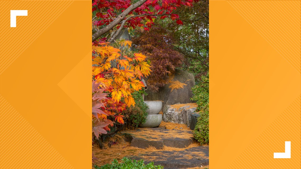 St. Louis fall foliage guide: Best leaf-peeping spots | ksdk.com