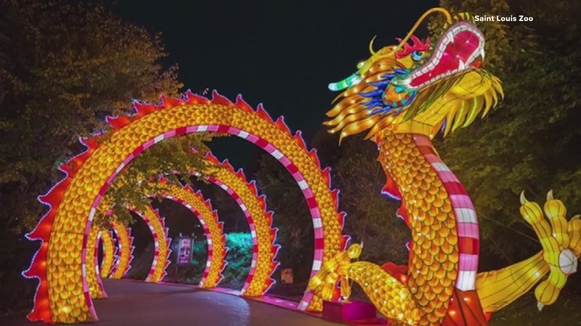 Animals Aglow Lantern Festival kicks off at the Saint Louis Zoo ...