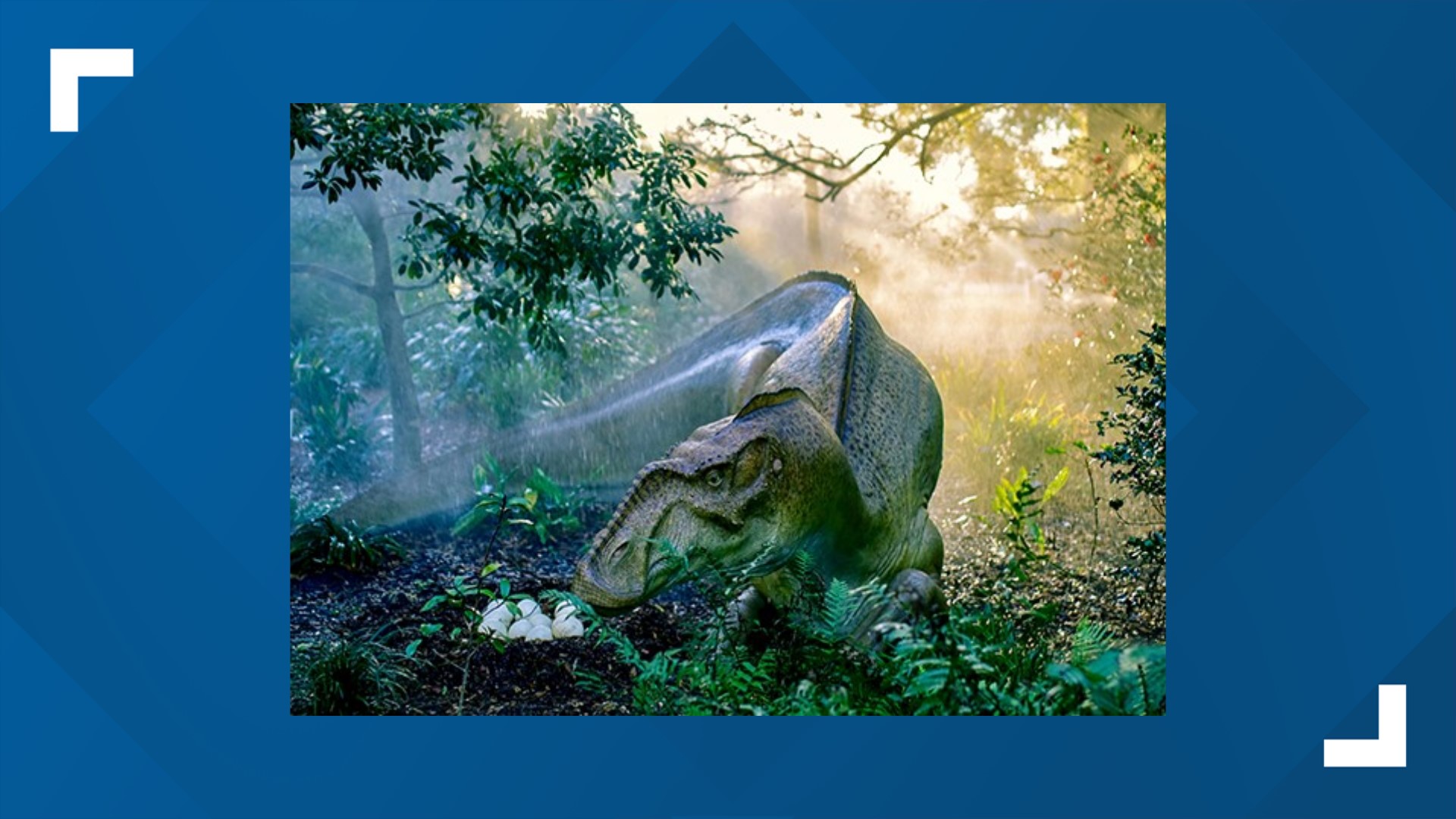 See dinosaur newly discovered in Missouri | ksdk.com