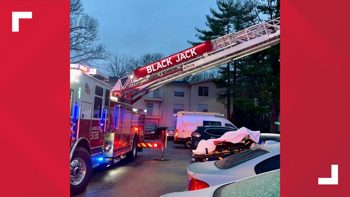 Cat saved from apartment fire in Black Jack | ksdk.com