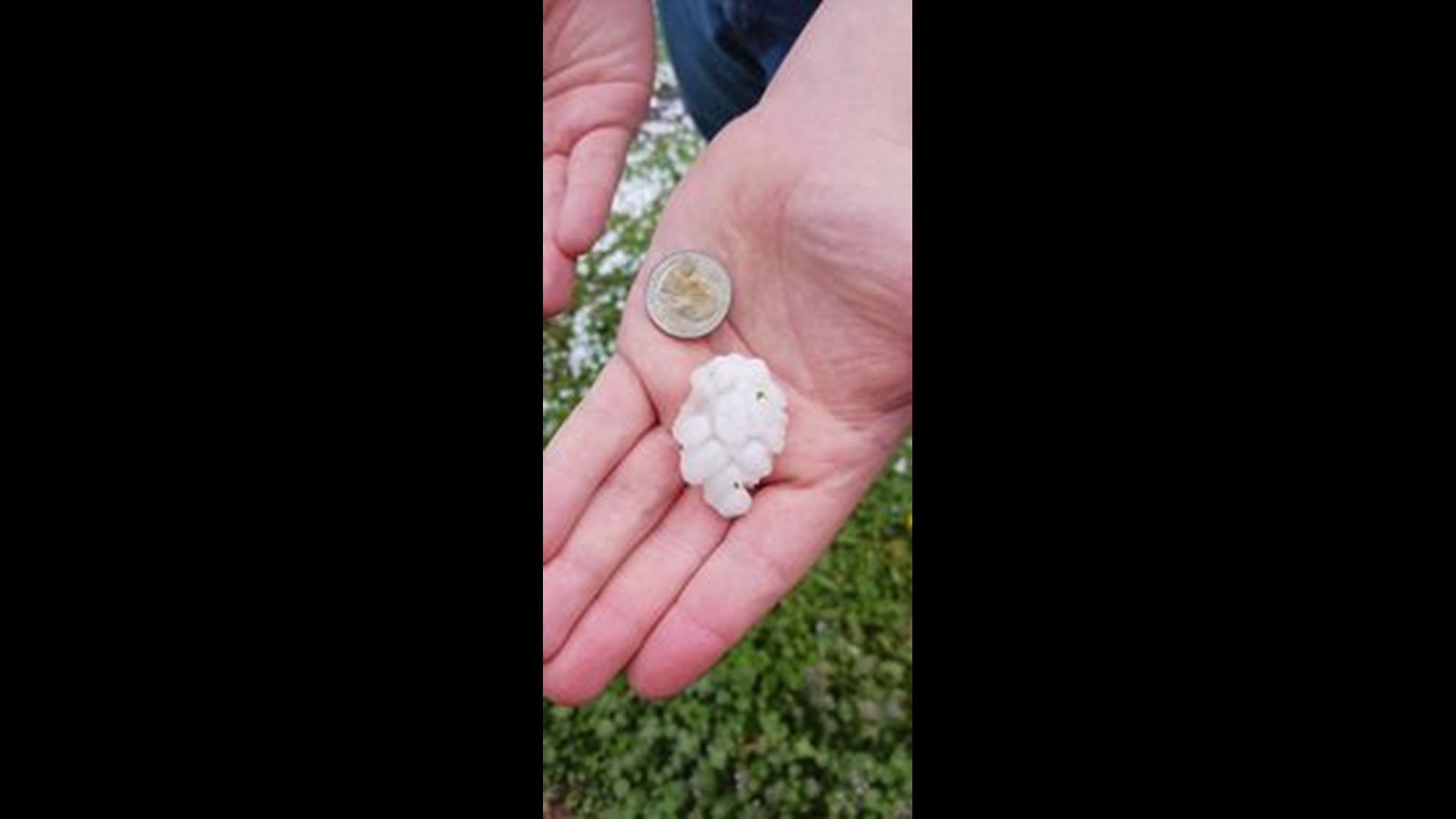 Hail leaves damage in St. Louis area | ksdk.com