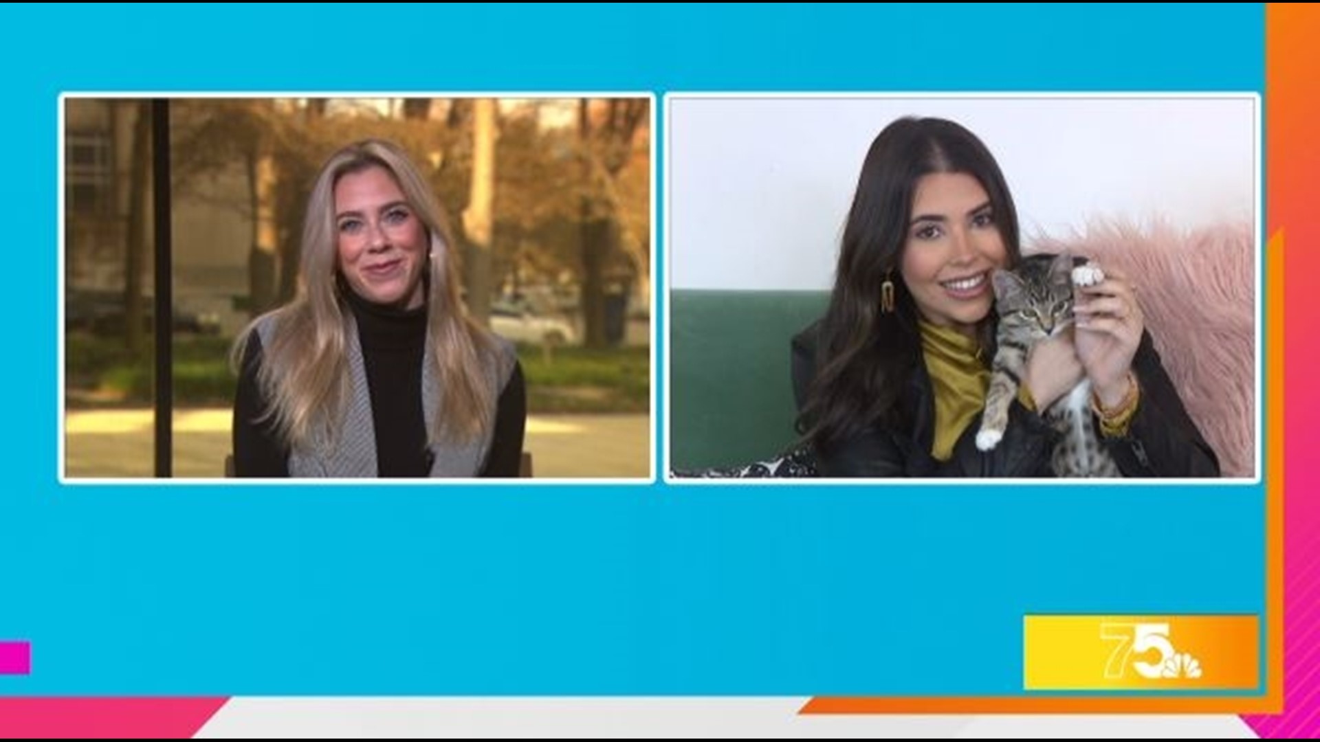 Tenth Life Cat Rescue aims to find felines 'fur-ever' homes ahead of ...