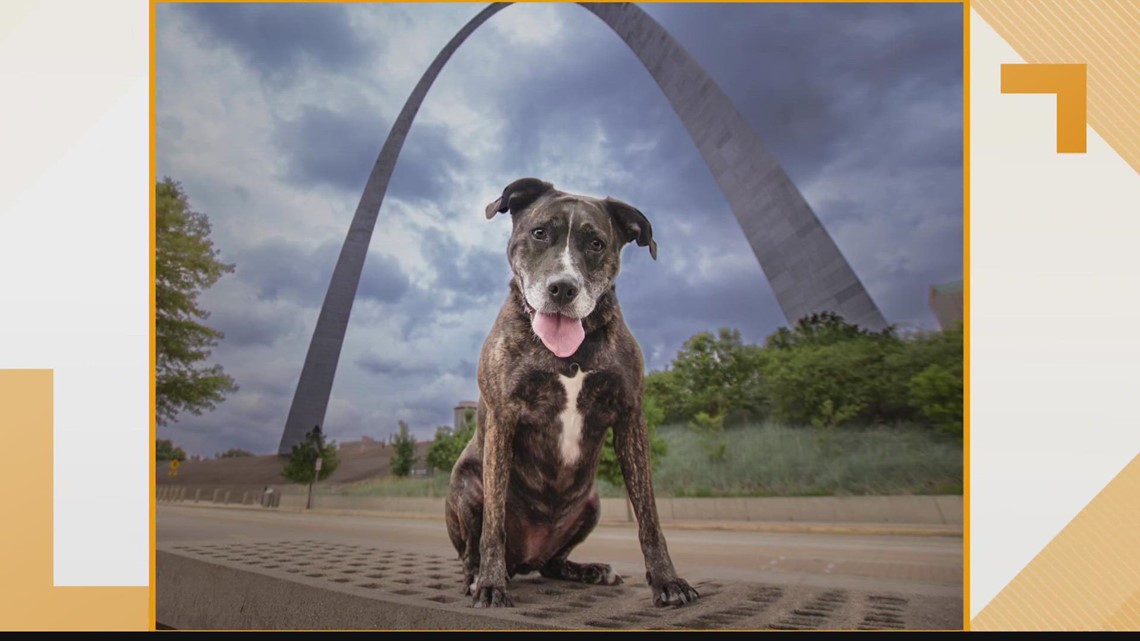 Sammy's Stars: June 30, 2022 | ksdk.com