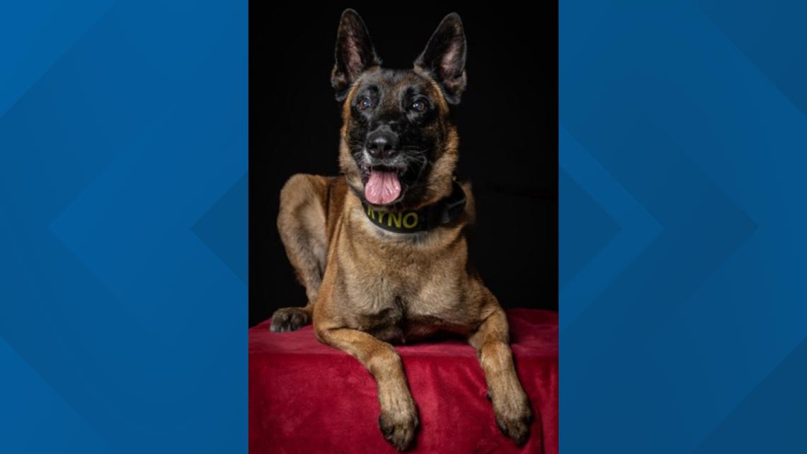 UCity police department mourns the unexpected death of K-9 Ryno | ksdk.com