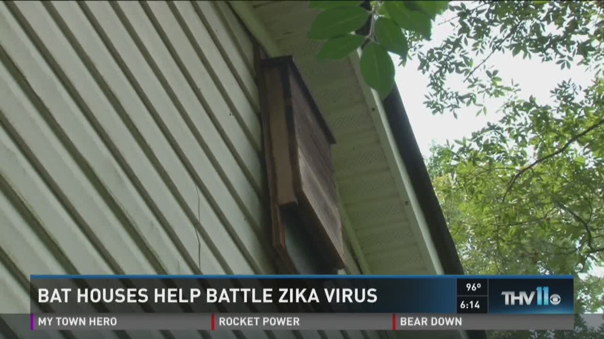 How bat houses are helping fight Zika virus | ksdk.com