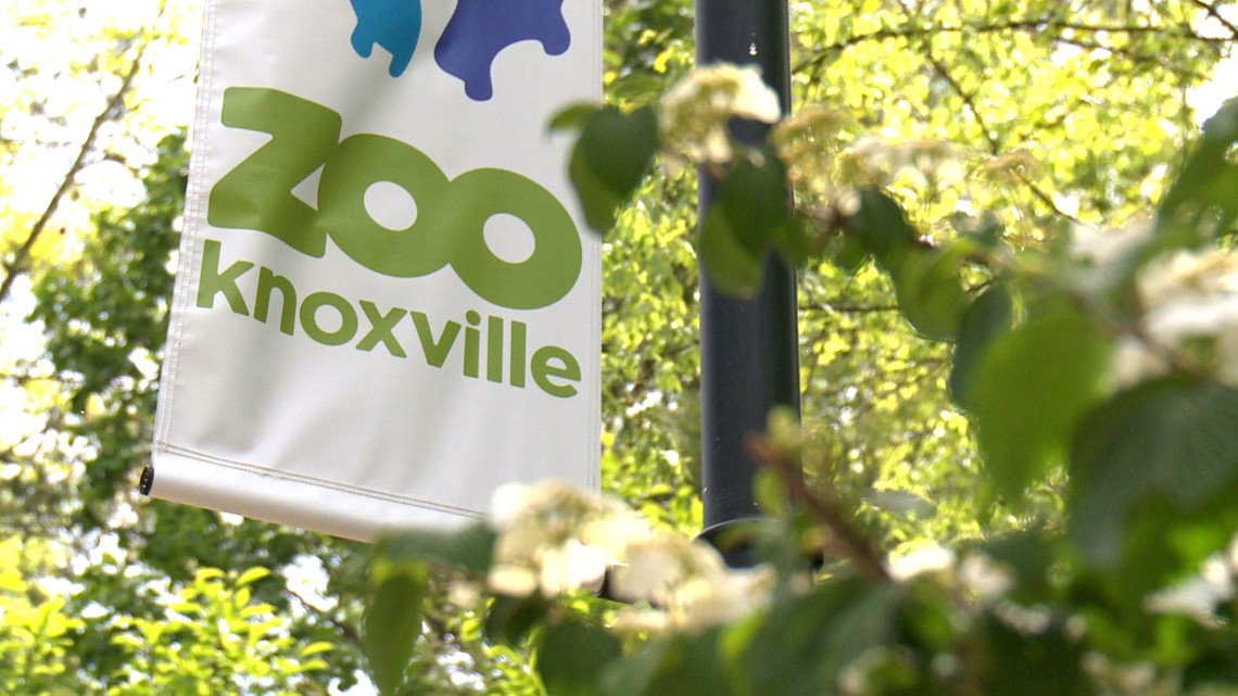 Zoo Knoxville receiving $500K for new reptile facility | ksdk.com
