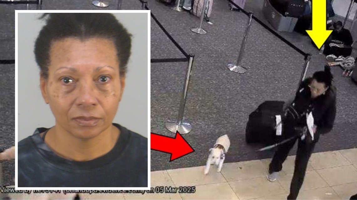 Florida woman drowned dog in airport bathroom after denied boarding ...